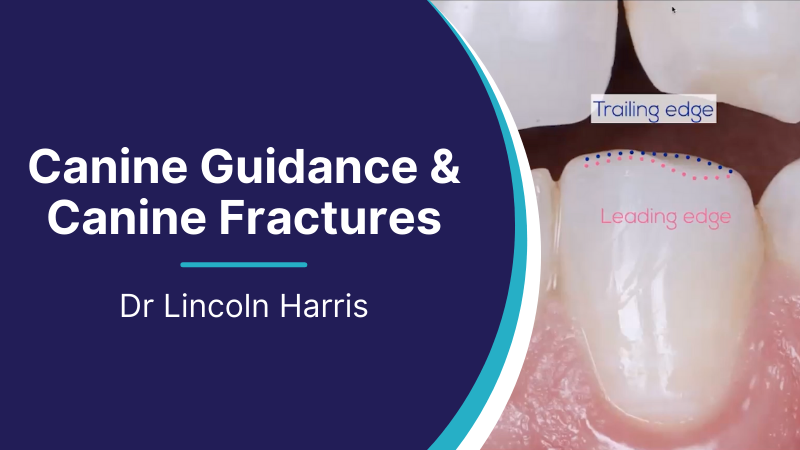 Canine Guidance & Canine Fractures Canine Guidance & Canine Fractures